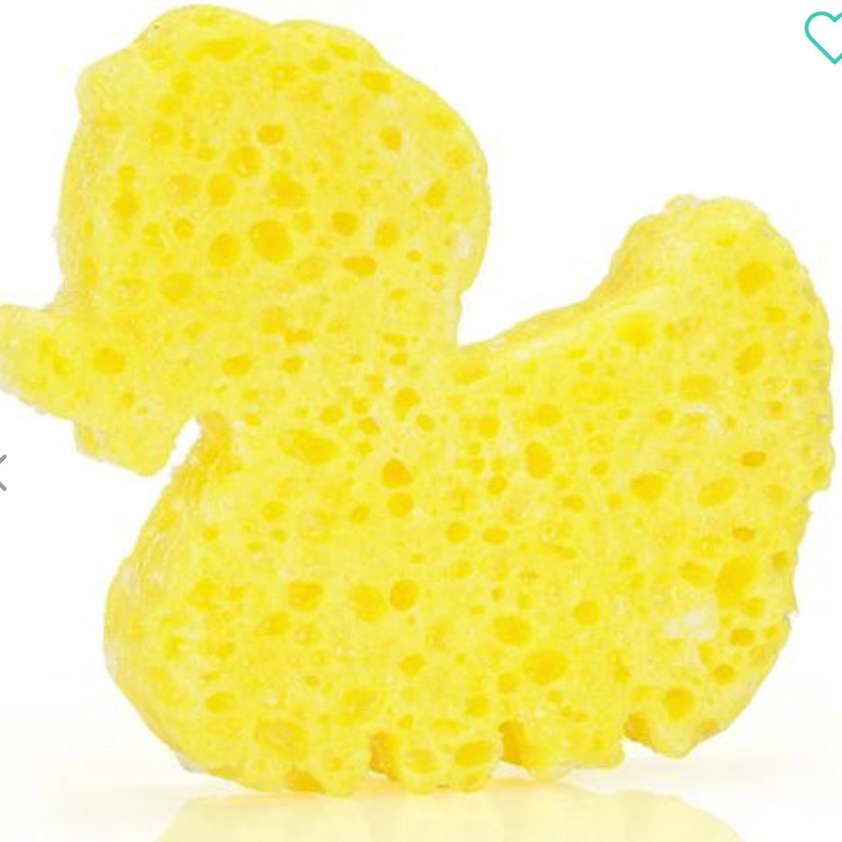 DUCK SPONGE BUFFER – Orient Expressed